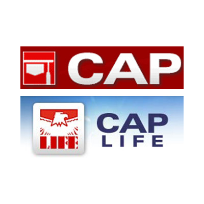2016 Top 6 - Capital Adequacy - Life Insurance - Vince Rapisura
