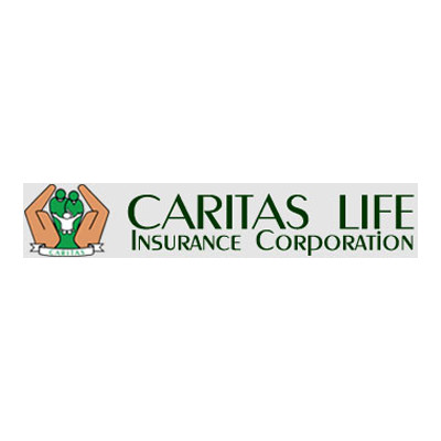 2016 Top 2 - Return on Assets - Life Insurance - Vince Rapisura