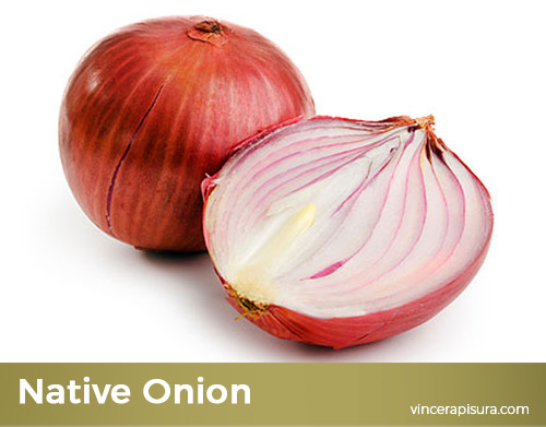 Top 10 Crops with Best Returns - Top 9: Native Onion - Vince Rapisura
