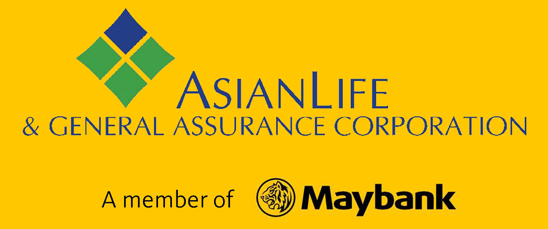 2017 Top 10 - Capital Adequacy - Life Insurance - Vince Rapisura