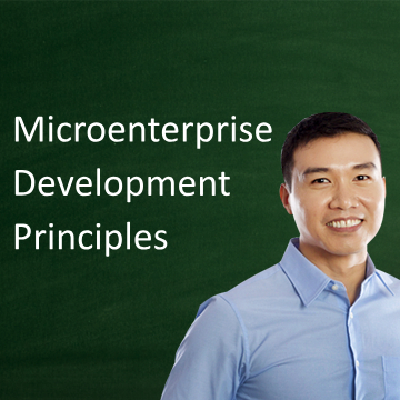 Microenterprise development principles - Vince Rapisura